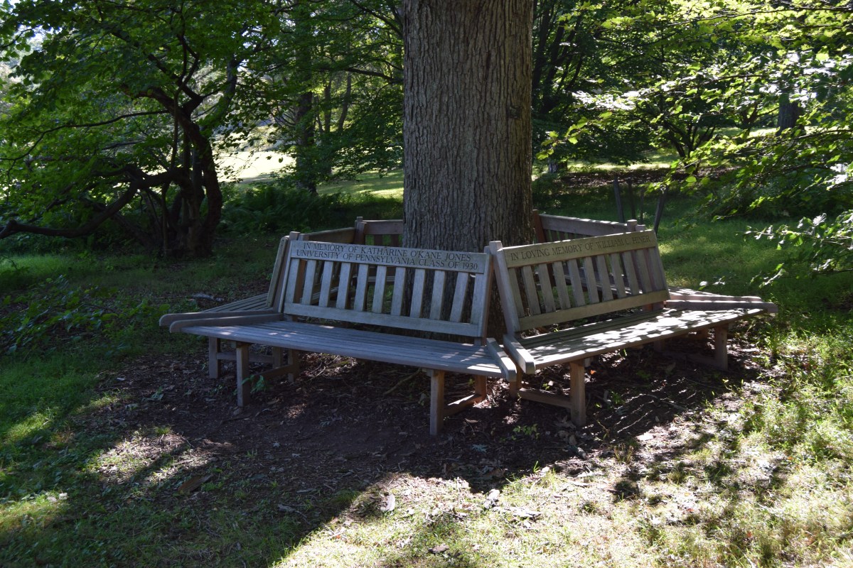 Tree Seats – Get Planting!